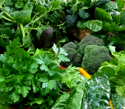 Organic Lettuce & Leafy Green Varieties – Back To Nature Seed Company