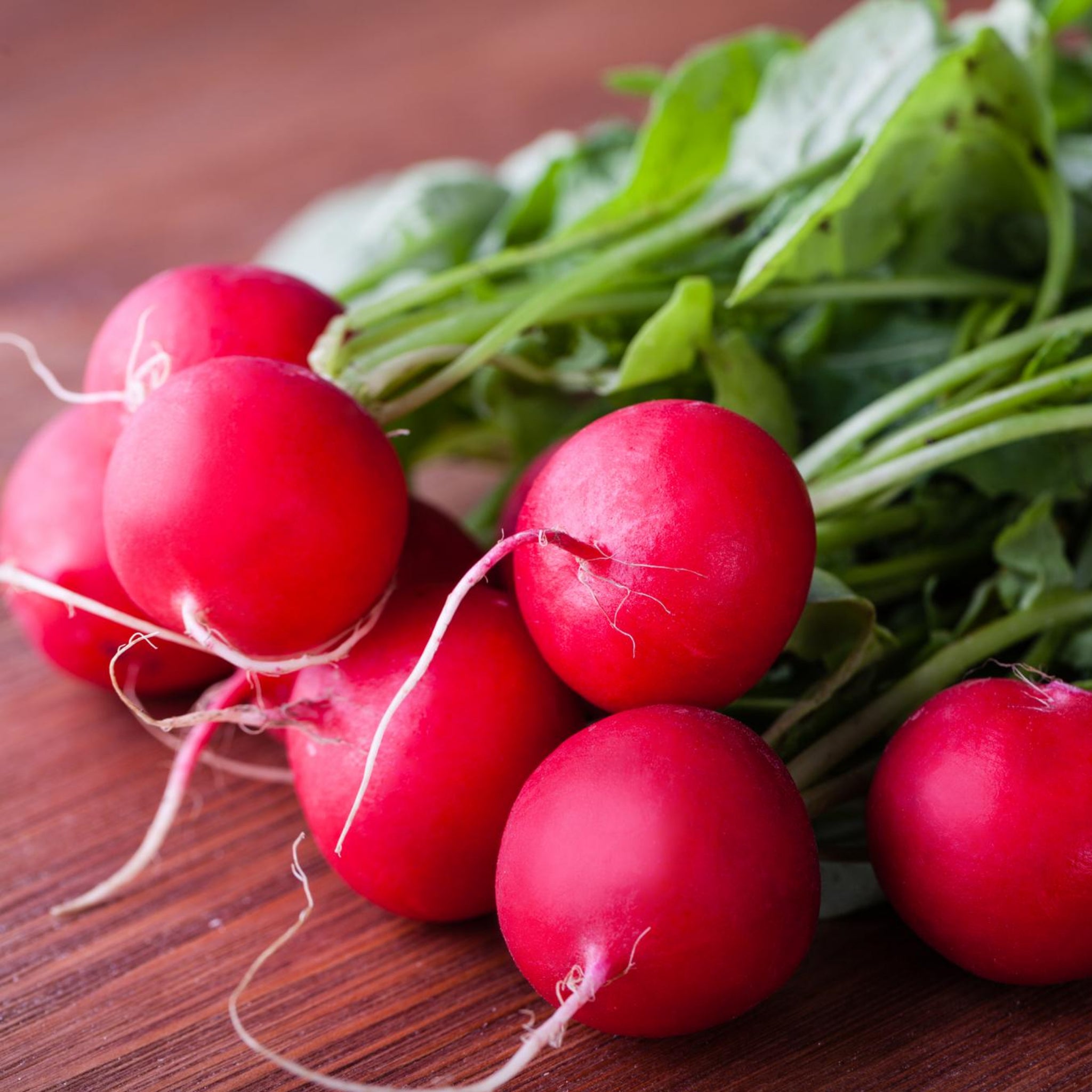 Early Scarlet Globe Radish - Seeds - Organic - Non Gmo - Heirloom Seed ...